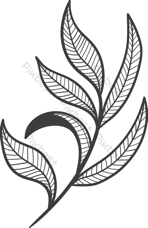 Floral Leaf Drawing Elements PNG Images EPS Free Download Pikbest