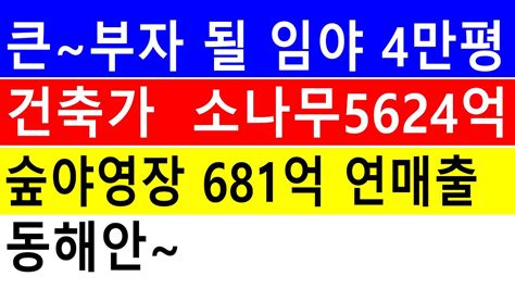 1억 계획관리 4만평 시세43억짜리 낮고완만 임야 소나무5624억 자연인전원생활 숲6차산업 숲경영 약용재배 산분장 대박장사~오리