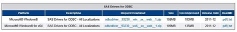 How To Install Sas Providers For Oledb And Sas Drivers For Odbc Withou