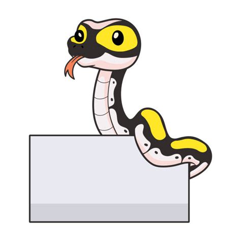 120 Royal Albino Python Stock Illustrations Royalty Free Vector