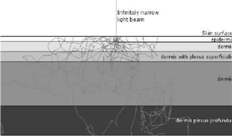 Photon Propagation In A Realistic Five Layer Skin Model Using An