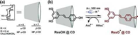 A Schematic Structures And Abbreviations Of The Cyclodextrins Used In Download Scientific