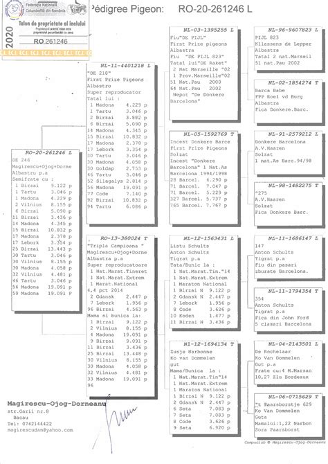 Ro 503085 2024 M Piatadeporumbeiro Romanian Auction House For