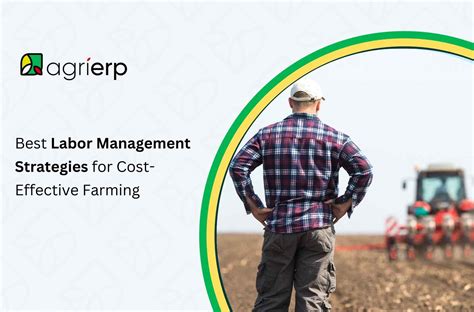 10 Best Labor Management Strategies For Cost Effective Farming