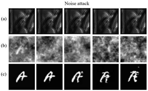 The Robustness Against Multiplicative Noise Attack A Interferograms Download Scientific