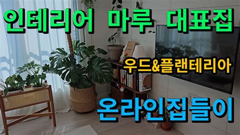 인테리어 마루회사 대표의 온라인집들이 🌴우드and플랜테리아 추천식물🌱 소개 Youtube