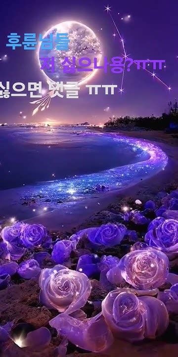 제가 좋으면 구독 싫으면 댓글 ㅠㅠ Youtube