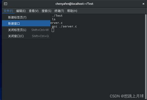 c语言实现udp数据传输（centos测试） c语言 udp发送数据 csdn博客