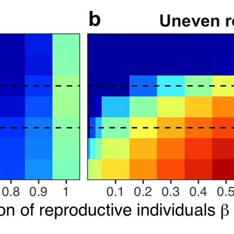 Environmental Predictability And Reproductive Skew Affect Social