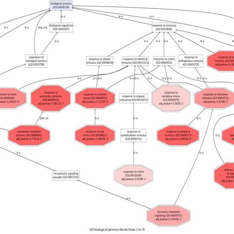 Figure S1 Directed Acyclic Hierarchical Graph Dag Of Gene Ontology