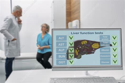Liver Function Test Conceptual Image Stock Image F Science Photo Library
