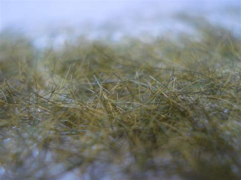 Static Grass Really Works Blender Add Ons And Osl Shaders