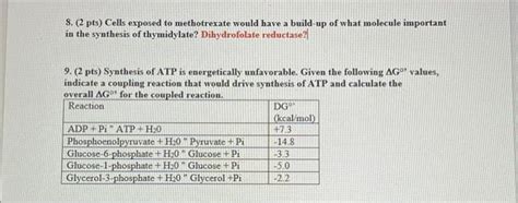 8 2 Pts Cells Exposed To Methotrexate Would Have