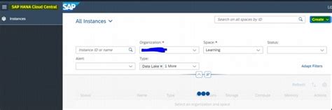 SAP HANA Cloud Creating Instance