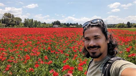flavien norindr on linkedin yesterday morning i touched red grass