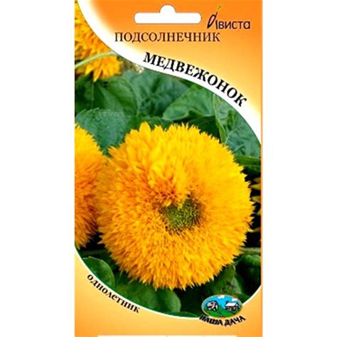 Подсолнечник декоративный Тедди Бир