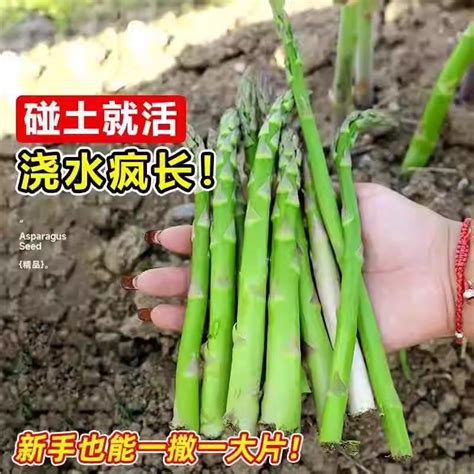 黄金价格今日金价走势图:暴跌还是暴涨?你还在被割韭菜吗? 黄金价格 淘宝百科网 黄金价格今日金价走势图:暴跌还是暴涨?你还在被割韭菜吗? 黄金价格 淘宝百科网