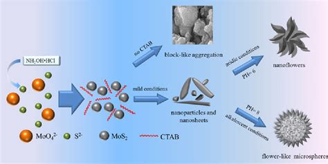 Figure 1 From Surfactant Assisted Hydrothermal Synthesis And