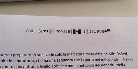 My Printer Printed By Mistake This Symbols At The Top Of The Page R Mildlyinteresting