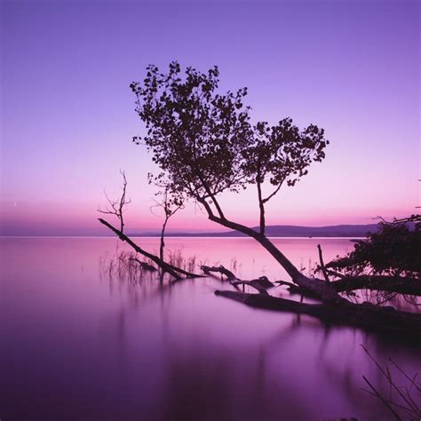 Jupiter Wordpress Theme Demo Artbees Themes