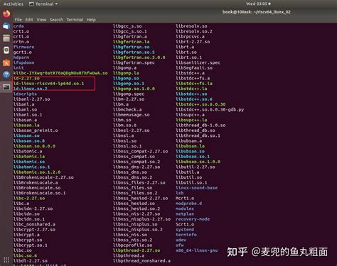 QEMU上搭建RISC V Linux环境 知乎