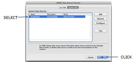 Generate A Report From A Database Part 7