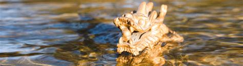 Does Fake Gold Float Goldgenie