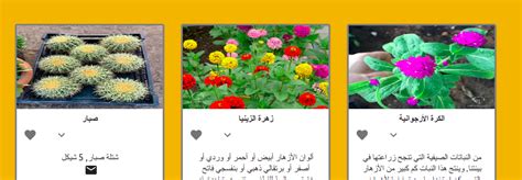 Reactjs Expand Just One Card From A Group Of Cards Stack Overflow