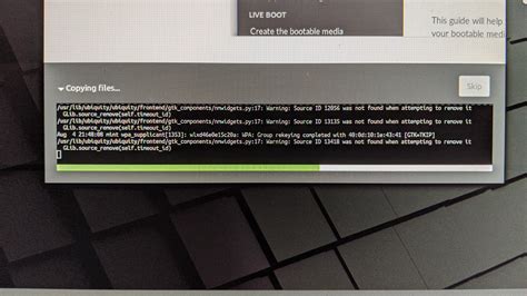 First Time Linux User I M Installing To A USB But This Error Shows Up For Multiple IDs And The