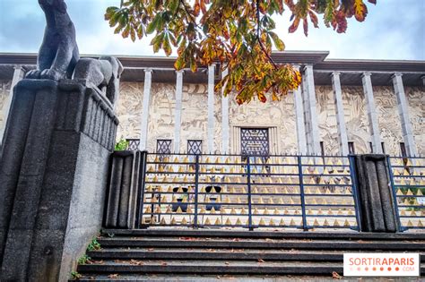 Enqu Te Madagascar Nos Photos De L Exposition Immersive Ultra