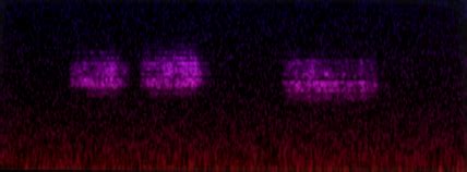 File Signal Iris Spec Png Voices Of The Void Wiki