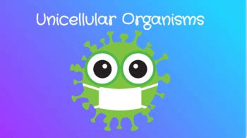 Unicellular Organisms Introductory Notes By Abby Rich TPT