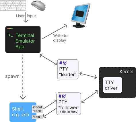 Warp What Happens When You Open A Terminal Emulator And Enter “ls”