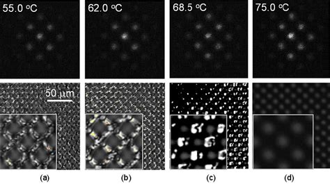 Far Field Diffraction Patterns Upper Images And Optical Polarization