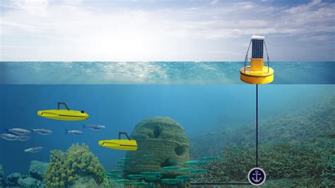 Introducing Eonios A Fully Autonomous Underwater Vehicle Auv Swarm