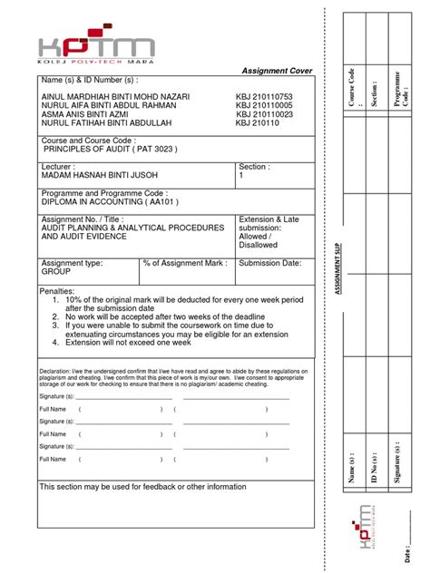 audit pdf audit internal control