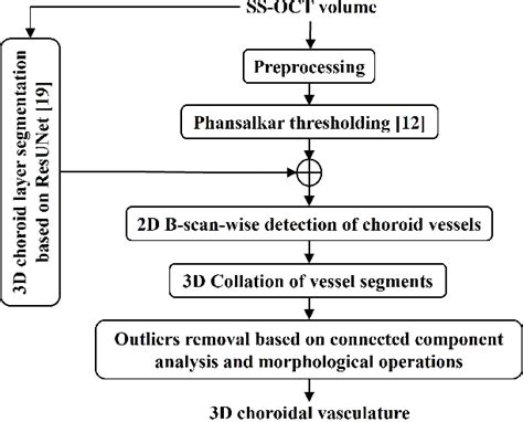 Figure 2 From Accurate Detection Of 3d Choroidal Vasculature Using Swept Source Oct Volumetric