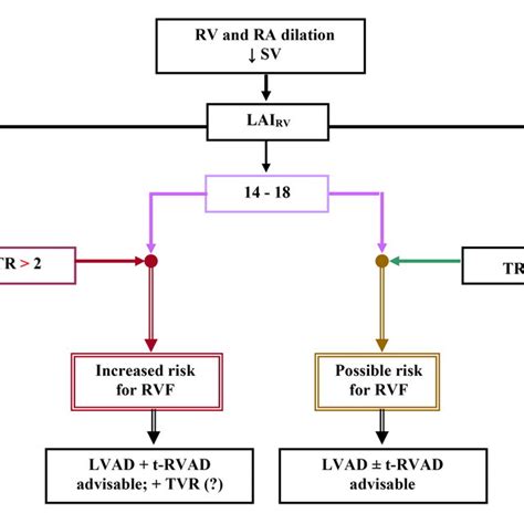 Echo Based Clinical Algorithm For Device Selection In Patients With Echo Based Clinical Algorithm For Device Selection In Patients With