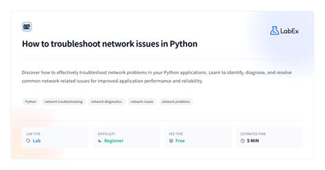how to troubleshoot network issues in python labex