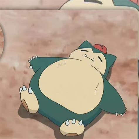 小鼠的解剖图谱pdf版（科研）