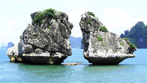 Hòn Chó Đá Hạ Long