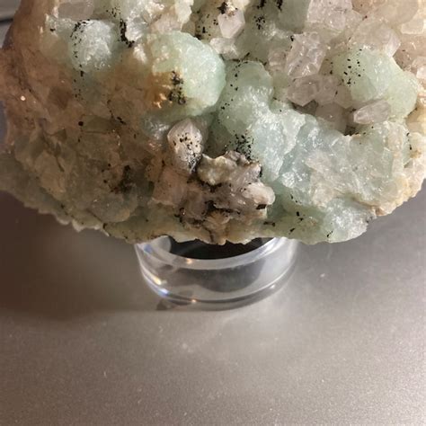 Oyster Fossil Gryphaea Sp Fossil Specimen Big Horn Canyon Wyoming Etsy