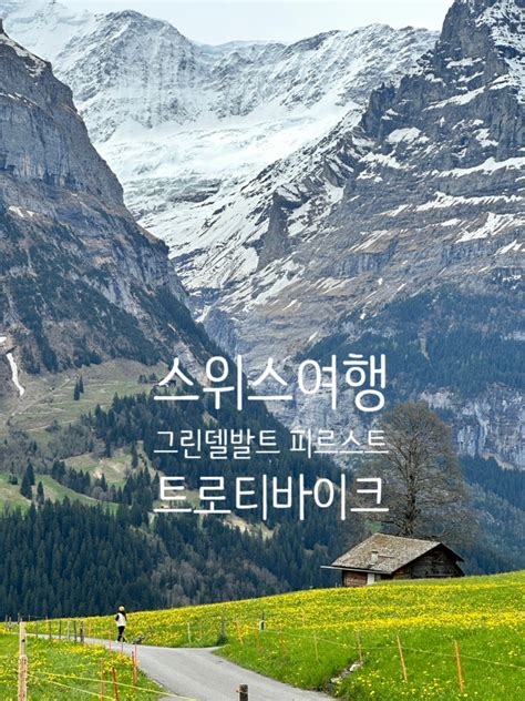 스위스여행 그린델발트 피르스트 코스추천 꿀팁 액티비티 트로티바이크 네이버 블로그