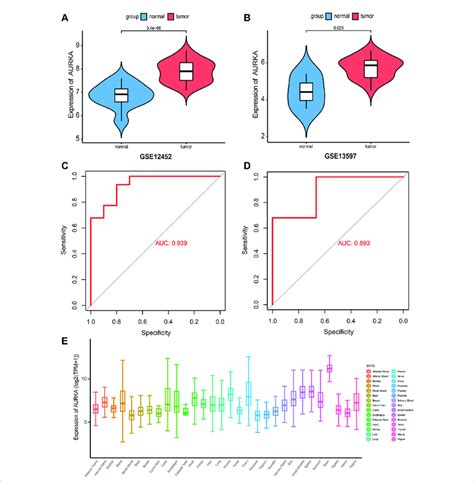 Expression Detection Of Aurka Gene A B Violin Plot Showing The Download Scientific Diagram