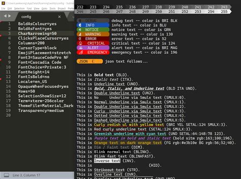 Width Of Secondary Fonts Nerdfont Private Via Fontchoice Appear Clipped Issue Mintty