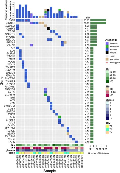 A Waterfall Plot Shows The Mutation Ratio Mutation Type Of The