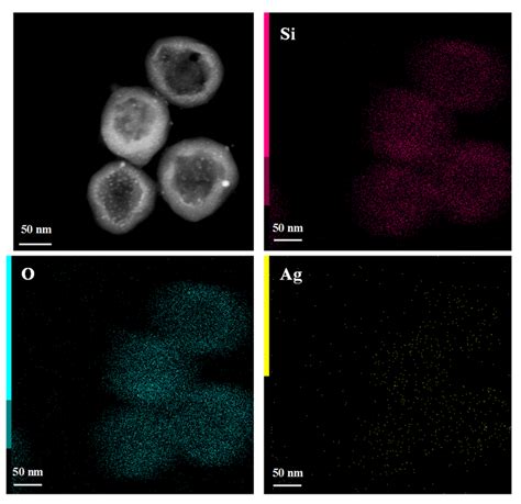 Dark Field Image Of Hollow Agsio2 Spheres And Energy Dispersive X Ray