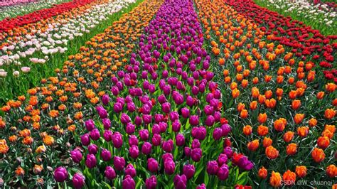 “hamlet英文词频统计“实例讲解文本词频统计 Hamlet Csdn博客