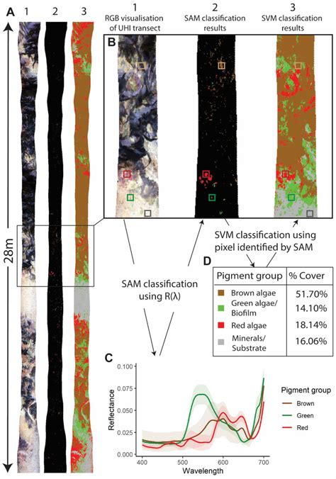 A B Stages 1 3 For Making A Map Of The Macroalgal Habitat Stage 1 Download Scientific