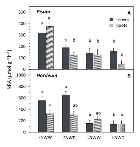 Mean Nitrate Reductase Activity Nra In Leaf And Root Biomass Of P Download Scientific